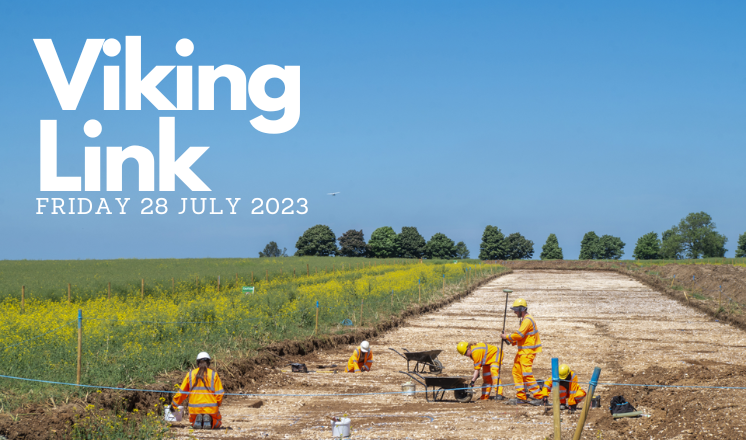 Viking Link | Lincoln Museum